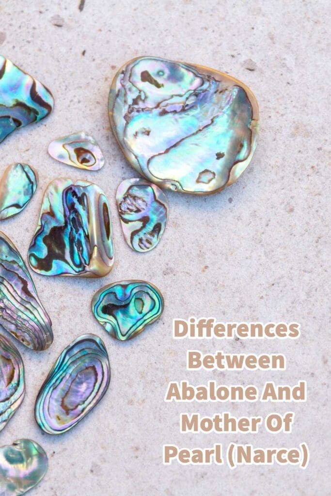 Differences Between Abalone And Mother Of Pearl (Narce) | Mondoro