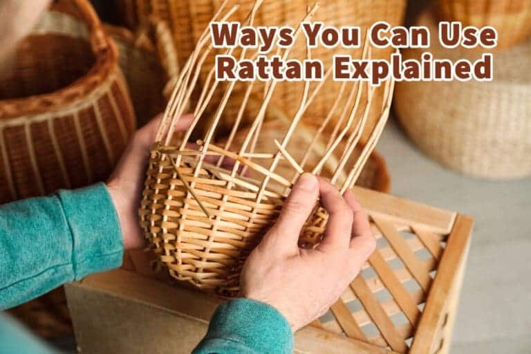 Ways You Can Use Rattan Explained | Mondoro