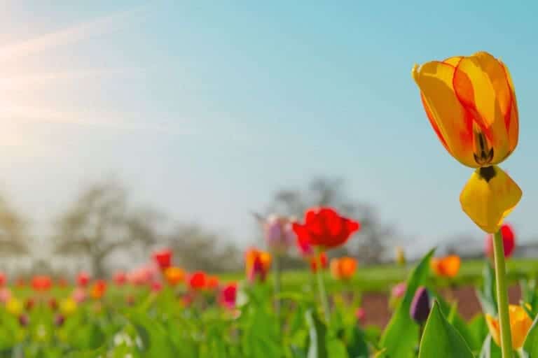 Spring Color Palette We Love - Home Decor, Fashion, And Design | Mondoro