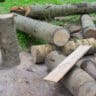 Strength And Durability Of Coconut Wood: A Comprehensive Guide | Mondoro