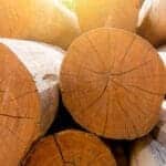 The Majestic Teak Tree: History, Properties, And Uses | Mondoro