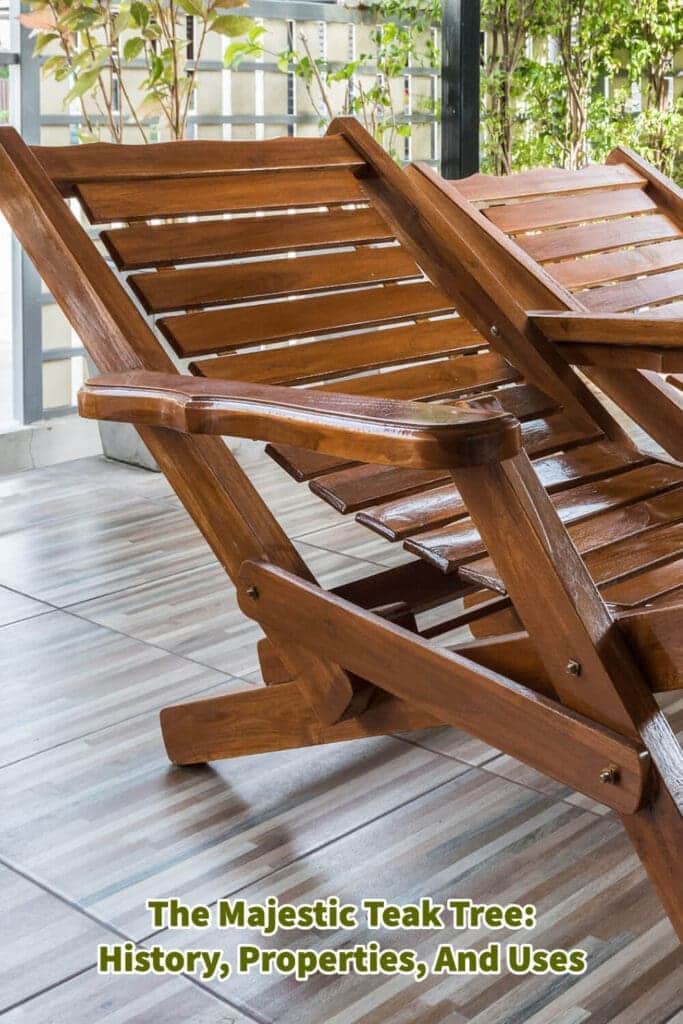 The Majestic Teak Tree: History, Properties, And Uses | Mondoro