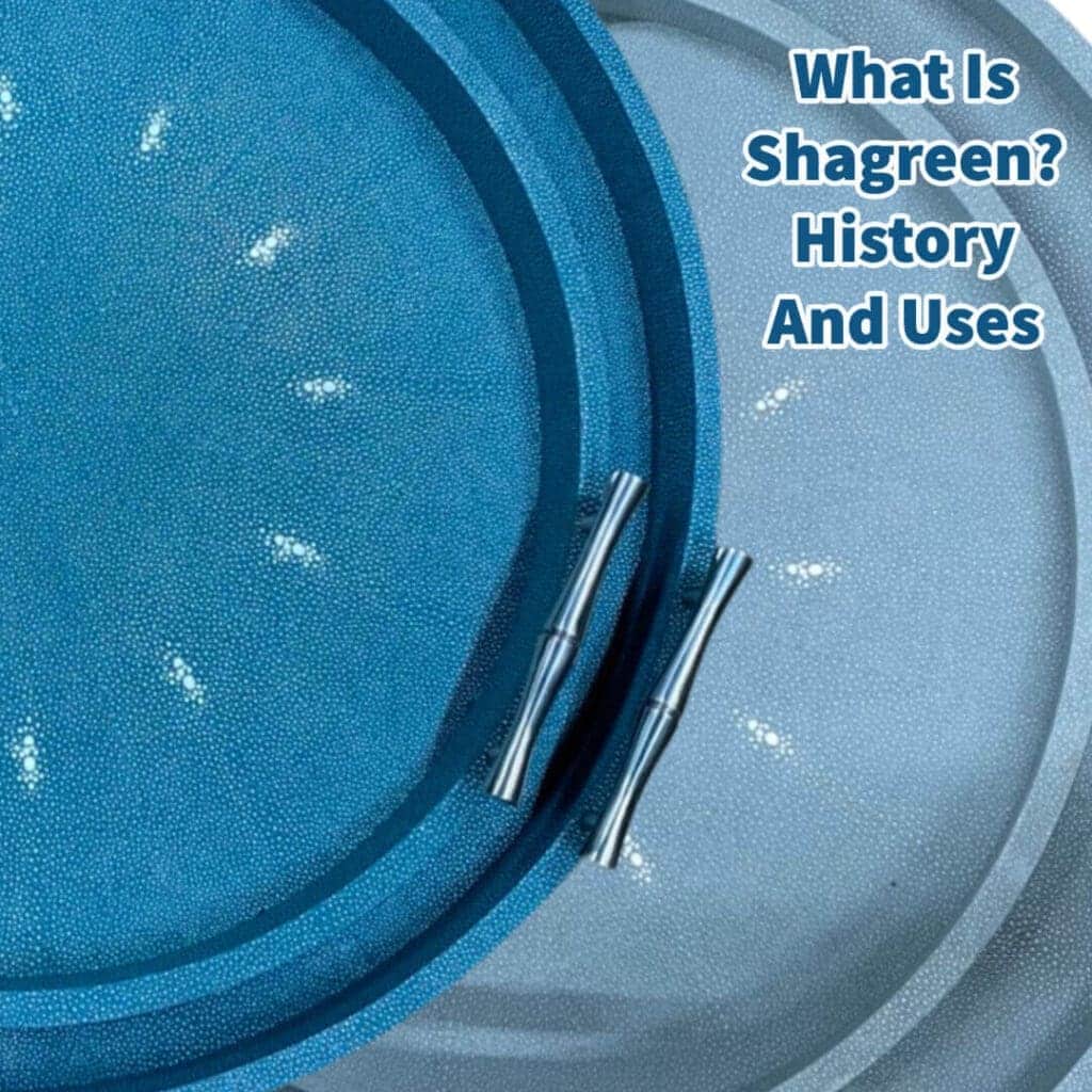 What Is Shagreen? History And Uses | Mondoro