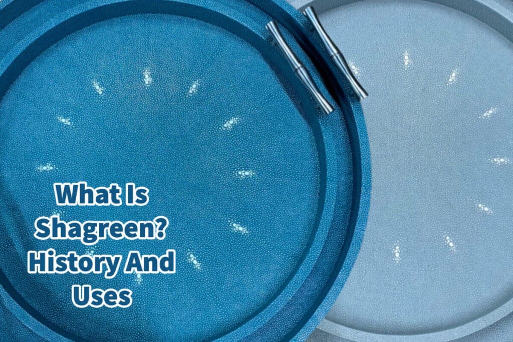 What Is Shagreen? History And Uses | Mondoro