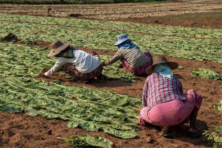 The Importance Of Social Consciousness: An In-Depth Guide | Mondoro