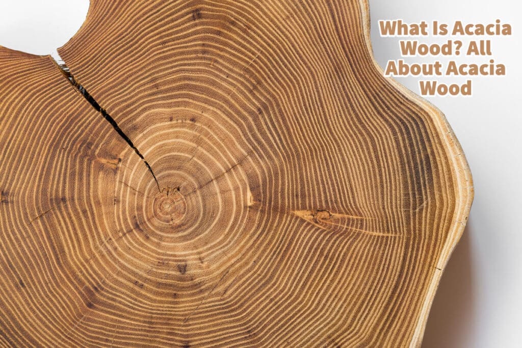 What Is Acacia Wood? All About Acacia Wood | Mondoro