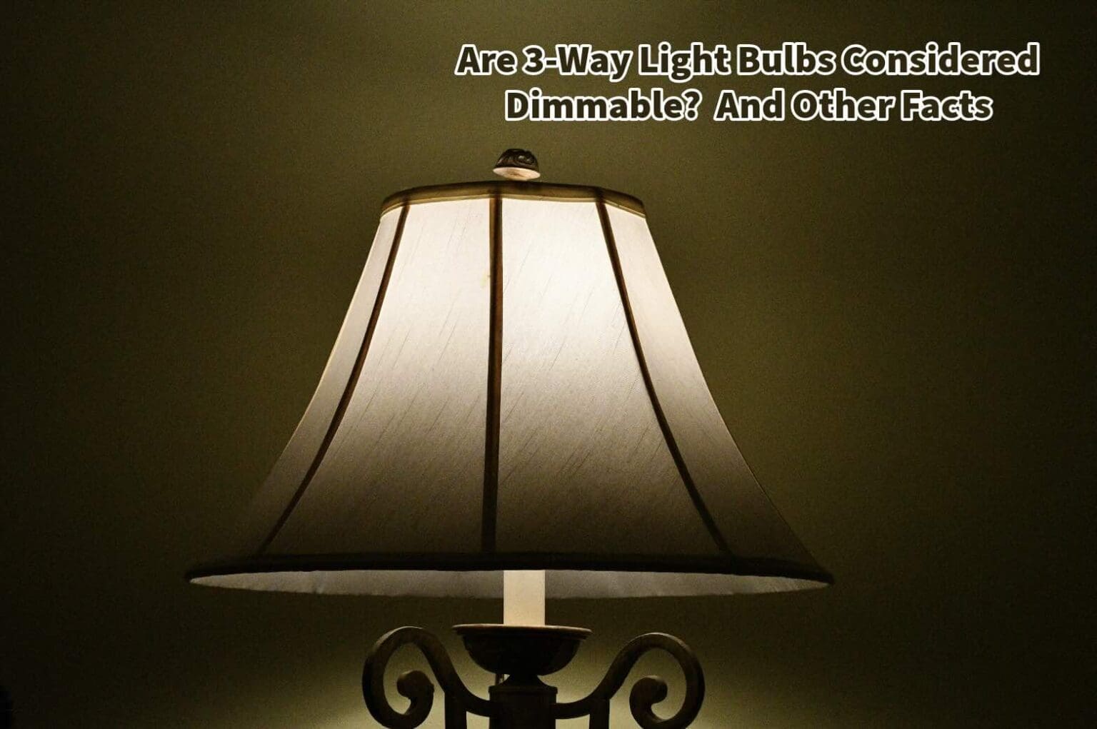 Are 3-Way Light Bulbs Considered Dimmable? And Other Facts | Mondoro