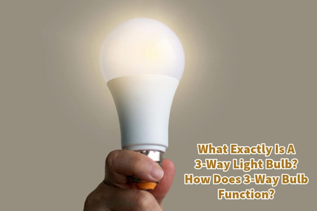 What Exactly Is A 3-Way Light Bulb? How Does 3-Way Bulb Function? | Mondoro