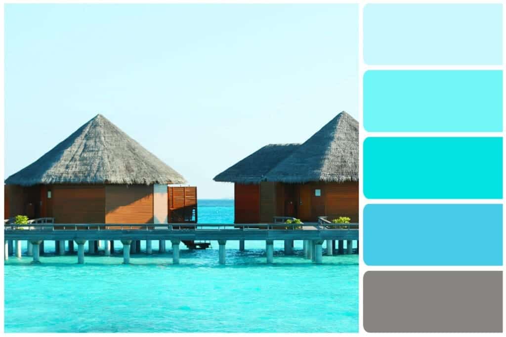 Embrace Light Summer Color Palettes | Mondoro