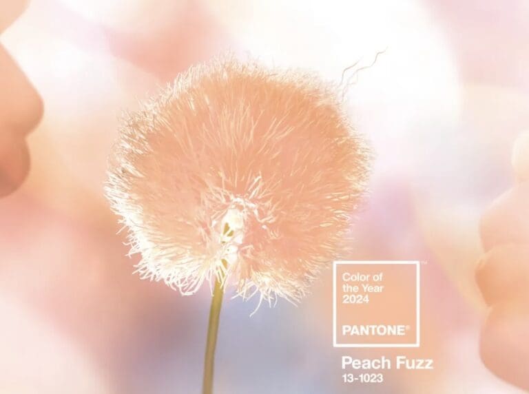 Pantone’s Color Of The Year: Importance And Why Matters | Mondoro